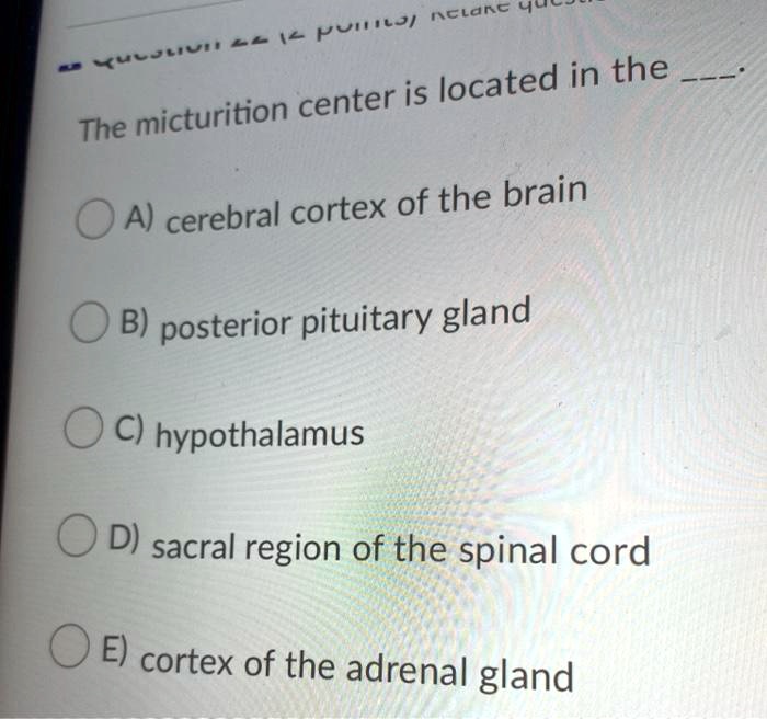 The micturition center is located in the —-. A) cerebral cortex of the ...