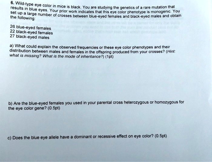 SOLVED: Wild-type eye color in mice is black. You are studying the ...