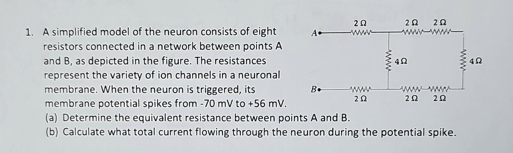 1. A simplified model of the neuron consists of eight resistors ...