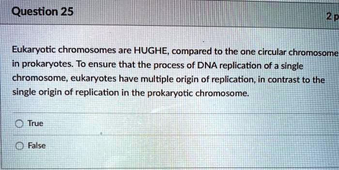 Solved Eukaryotic Chromosomes Are Huge Compared To The One Circular
