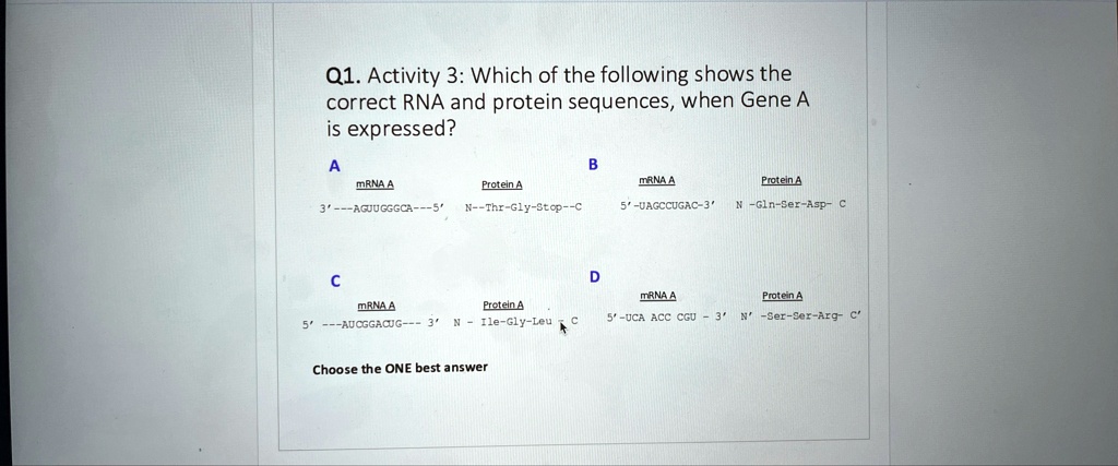 SOLVED: Q1. Activity 3: Which of the following shows the correct RNA ...