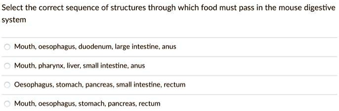 SOLVED:Select the correct sequence of structures through which food ...