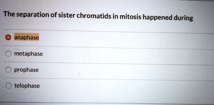 Solved The Separation Of Sister Chromatids In Mitosis Happened During