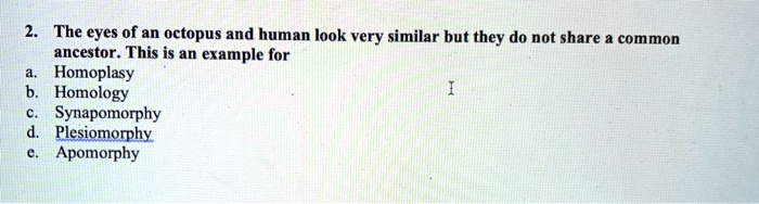the eyes of an octopus and human look very similar but they do not share common ancestor this is ...