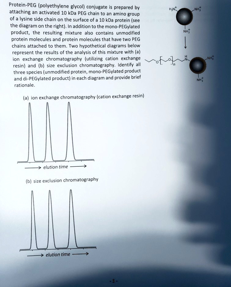 Protein-PEG (polyethylene glycol) conjugate is prepared by attaching an ...