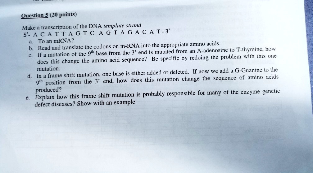 SOLVED: Question z (20 points) Make transcription of the DNA template ...
