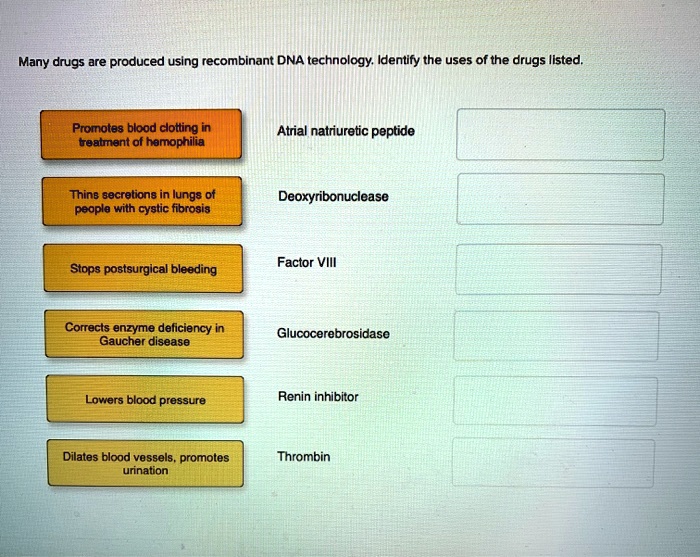 many drugs are produced using recombinant dna technology identify the ...