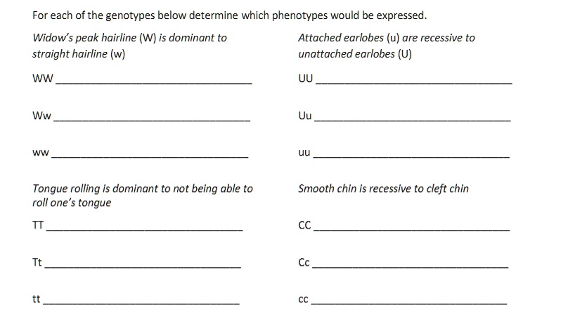 SOLVED: For each ofthe genotypes below determine which phenotypes would ...