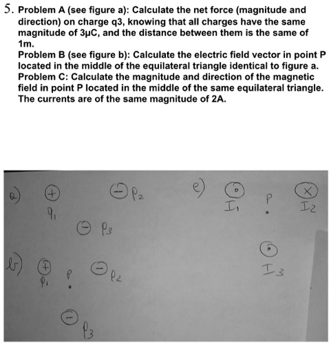 SOLVED: Problem A (see figure a): Calculate the net force (magnitude ...
