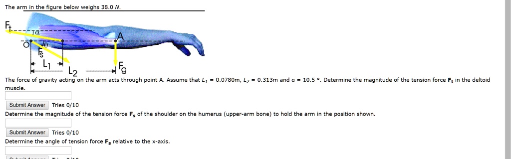 The arm in the figure below weighs 380 ta l l2 the force of...