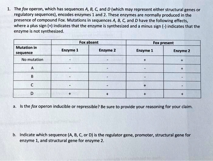 the fox operon which has sequences a b c and d which may represent ...
