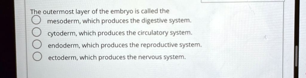 The outermost layer of the embryo is called the mesoderm, which ...
