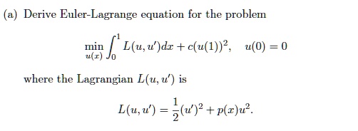SOLVED: Derive Euler-Lagrange equation for the problem min J' L(u,w')dz +c(u(1)), u(0) = 0 where ...