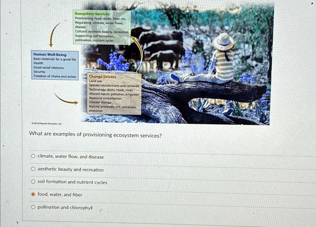 SOLVED: What are examples of provisioning ecosystem services? - climate ...