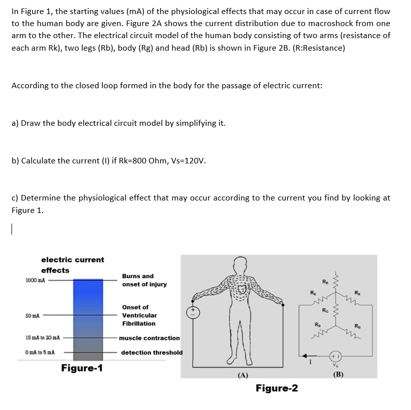 SOLVED: In Figure 1, the starting values (mA) of the physiological ...