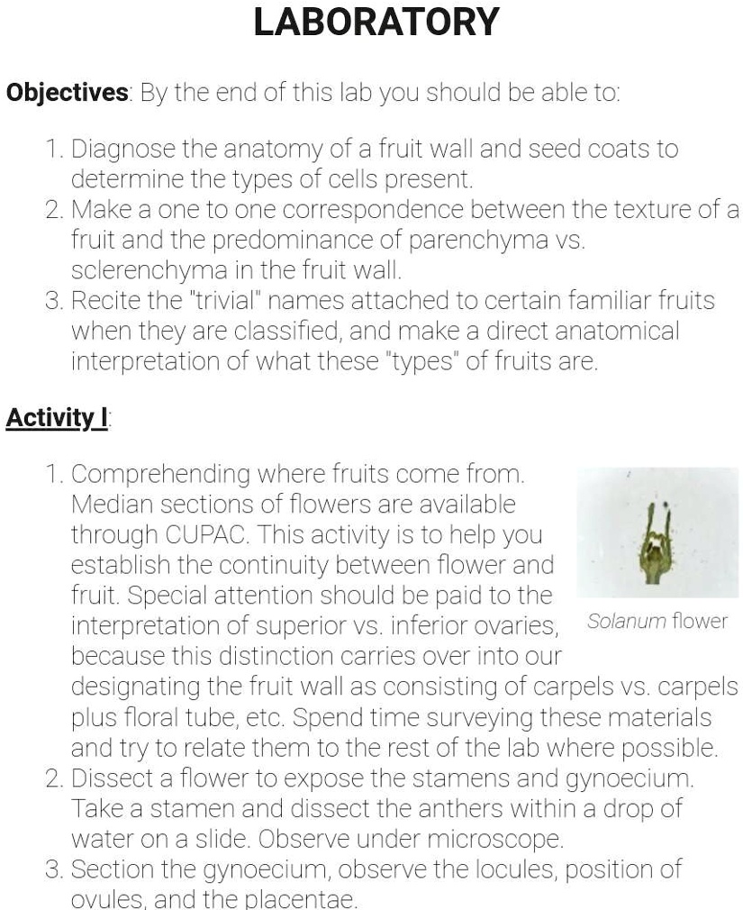 SOLVED: LABORATORY Objectives By the end of this lab, you should be ...