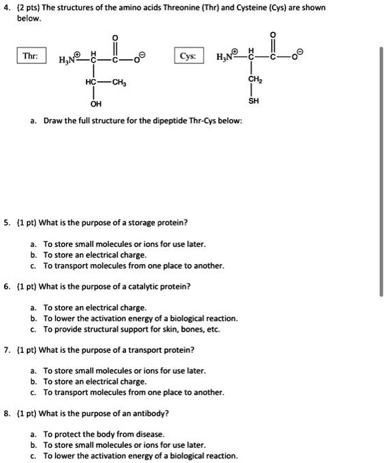 4. (2 pts) The structures of the amino acids Threonine (Thr) and ...