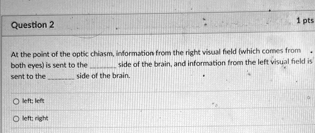SOLVED: Question 2 At the point of the optic chiasm, information from ...