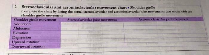 SOLVED: 2. Sternoclavicular and acromioclavicular movement chart ...