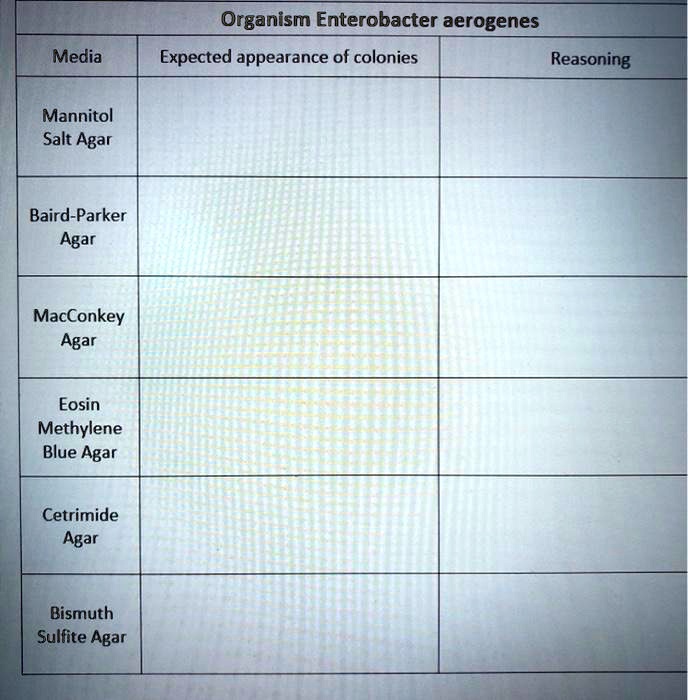 SOLVED:Organism Enterobacter aerogenes Expected appearance of colonies ...