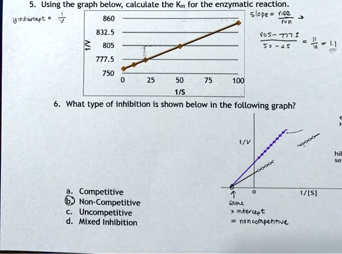 using the graph below calculate the km for the enzymatic reaction slcpe ...
