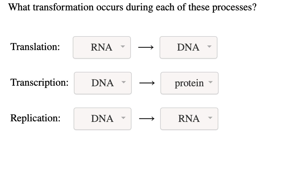 What transformation occurs during each of these processes? Translation: RNA → DNA Transcription ...