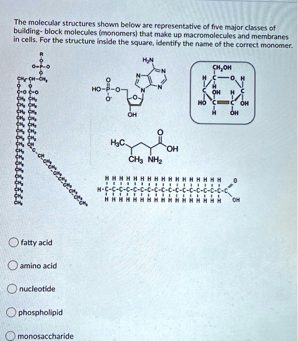 The molecular structures shown below are representative of five major classes of building- block ...