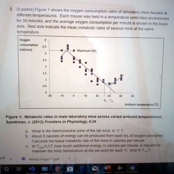 5. (5 points) Figure 1 shows the oxygen consumption rates of laboratory ...