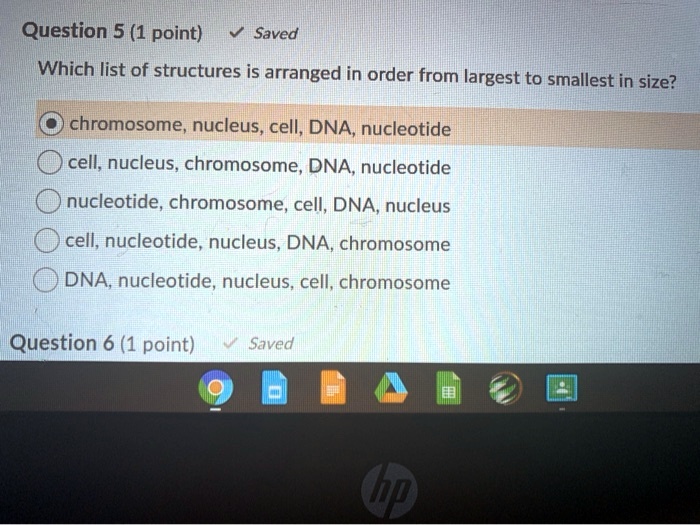 Solved Question 5 1 Point Saved Which List Of Structures Is Arranged 1268