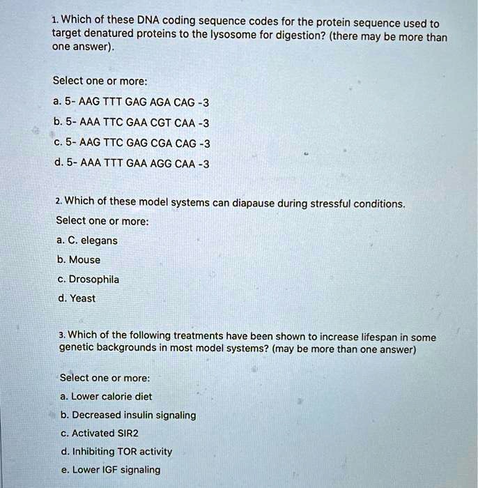 SOLVED: Which of these DNA coding sequences codes for the protein sequence used to target ...