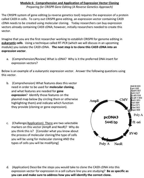 SOLVED: Module 6: Comprehension and Application of Expression Vector Cloning Preparing for ...