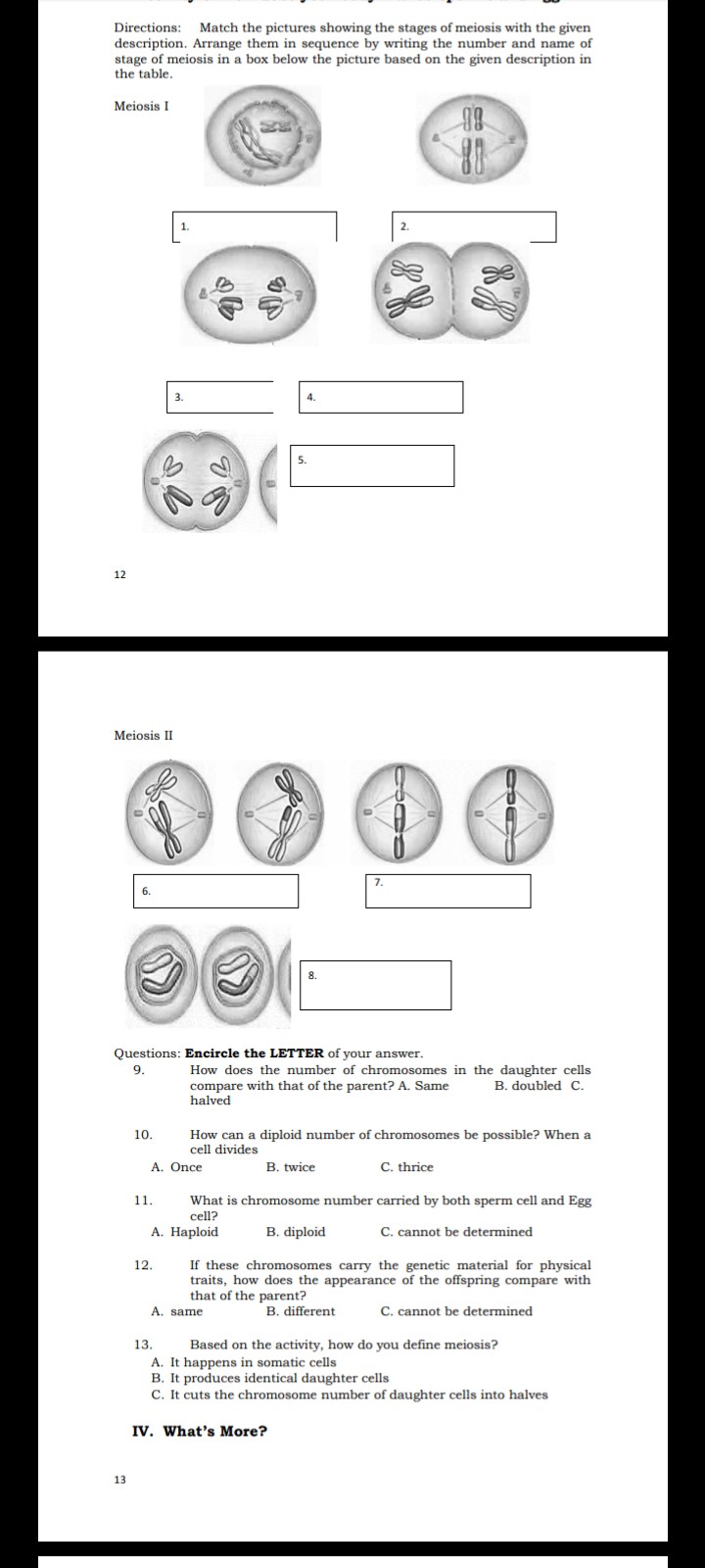 Directions: Match the pictures showing the stages of meiosis with the ...