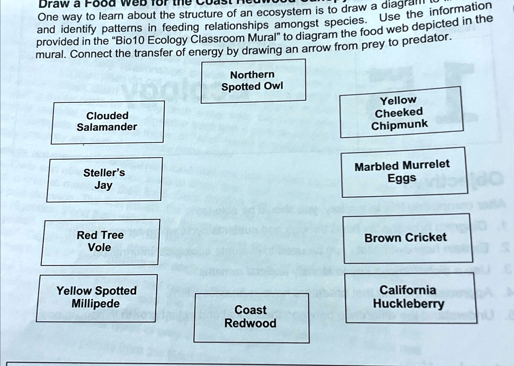 draw a food web for the coast redwood one way to learn about the ...
