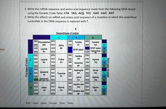 SOLVED: Write the mRNA sequence and amino acid sequence made from the following DNA strand using ...