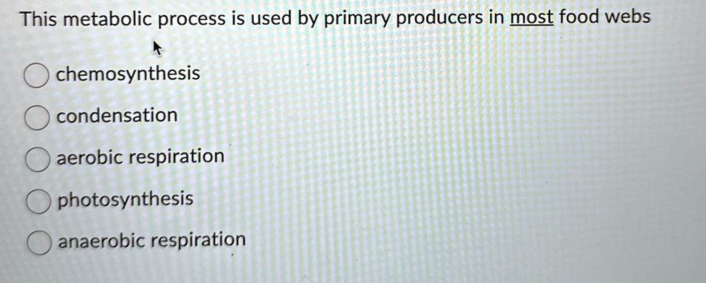 This metabolic process is used by primary producers in most food webs ...