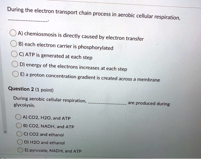 SOLVED: During the electron transport chain process in aerobic cellular ...