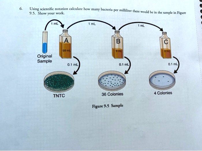6. Using scientific notation calculate how many bacteria per milliliter there would be in the ...