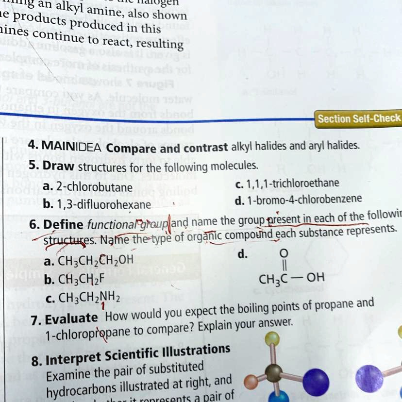 SOLVED: Please, I need number 6. HELP. [118 an alkyl amine, hydrogen le products also shown ...
