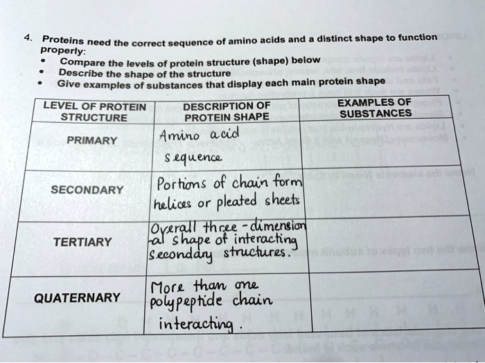 proteins need the correct sequence of amino acids and distinct shape to ...