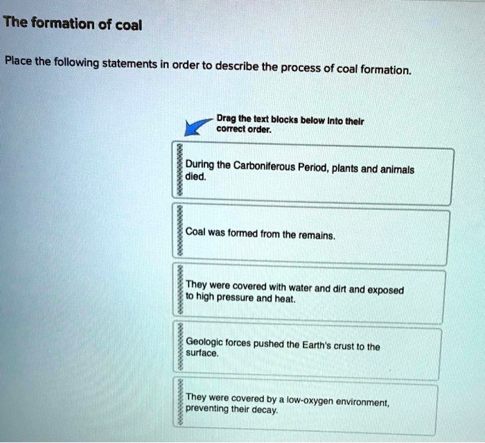 the formation of coal place the following statements in order to ...