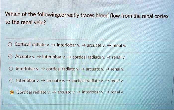 SOLVED: Which of the following correctly traces blood flow from the ...