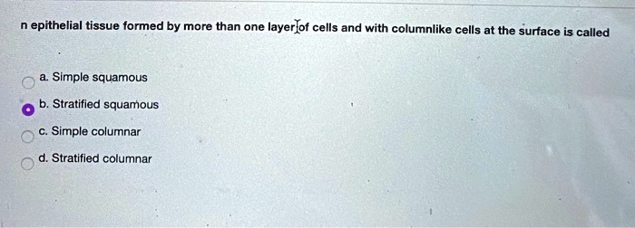 Epithelial tissue formed by more than one layerlof cells and...