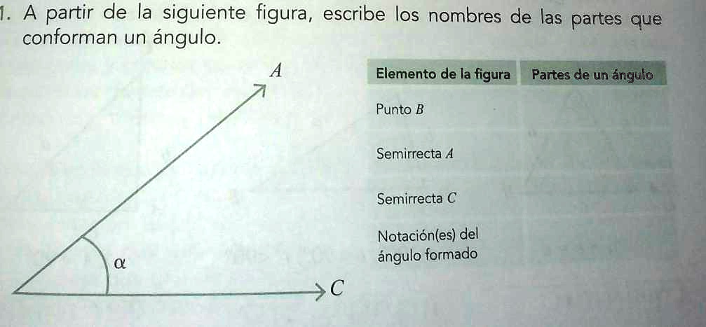 SOLVED: A partir de la siguiente figura,escribe los nombres de las ...