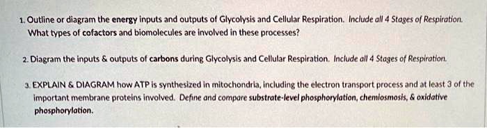 SOLVED: Outline or diagram the energy inputs and outputs of Glycolysis and Cellular Respiration ...