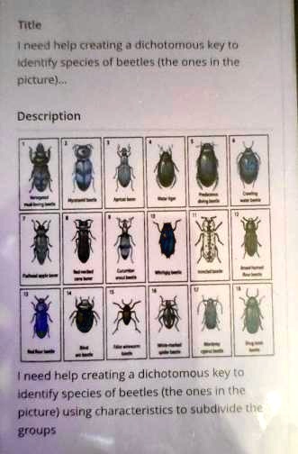 Title I need help creating a dichotomous key to Identify species of ...