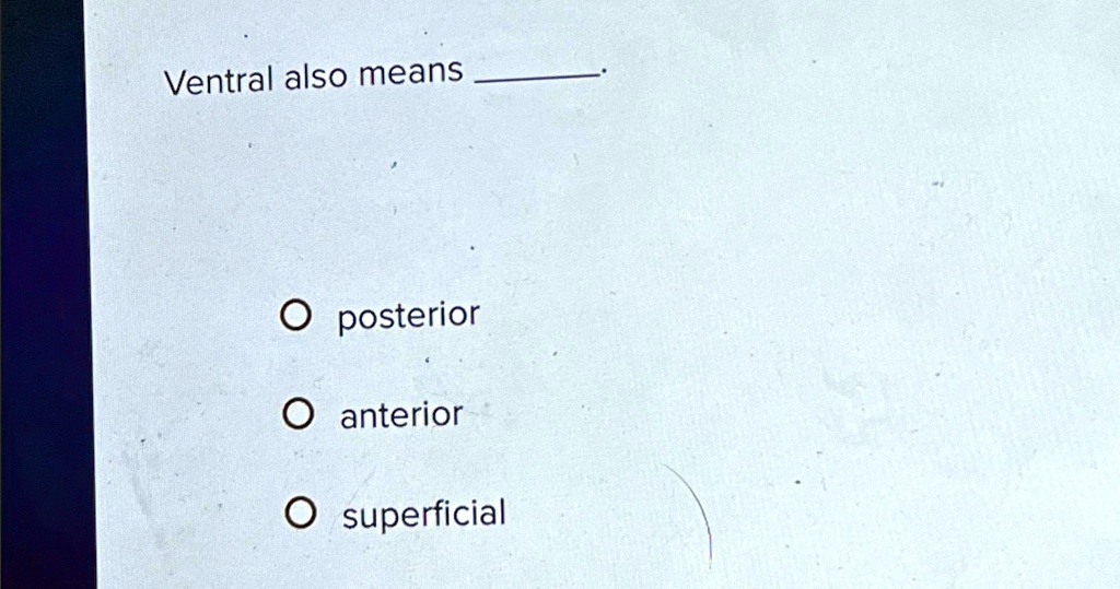 SOLVED: Ventral also means posterior anterior superficial Ventral also ...