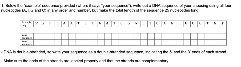 SOLVED: Below the "example" sequence provided (where it says "your ...