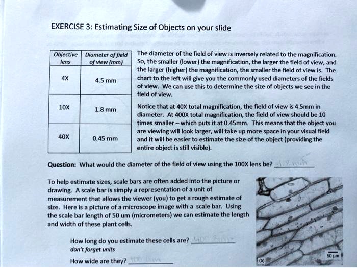 SOLVED: EXERCISE 3: Estimating Size of Objects on your slide Objective ...