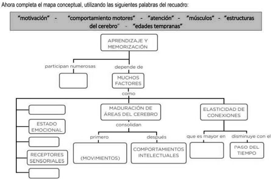 SOLVED: plis ayuda en esta tarea de el mapa conseptual pliss Ahora ...