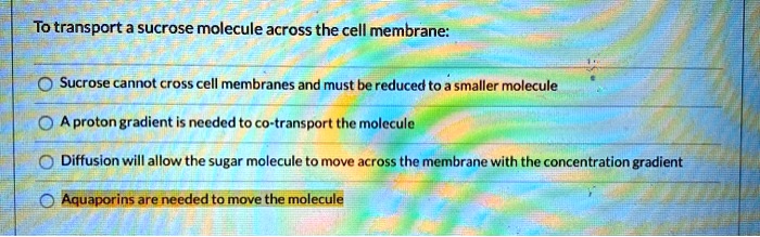 SOLVED: To transport a sucrose molecule across the cell membrane ...